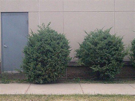 Assignment4all Flickr Assignment4all Flickr