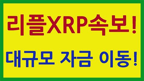 리플 코인 전망 대규모 자금 이동 궁금한 내역들 알아보자 Youtube
