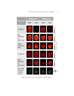 Fitting A Directional Microstructure Model To Diffusion Relaxation MRI
