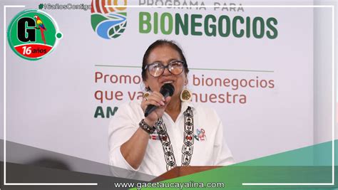 Minam Destina Más De 78 Millones De Soles Para Financiar Proyectos Ecoamigables En La Amazonía