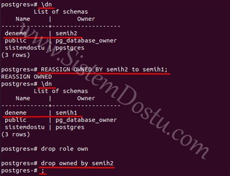 Postgresql User Management Sistem Ve Network Dünyasına Hoşgeldiniz