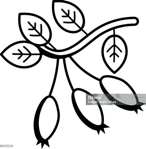 Sweetbrier 벡터 아이콘 디자인 가을 또는 가을 활동 기호 낙엽 날씨 표시 수확 시즌 요소 스톡 일러스트 레이 션