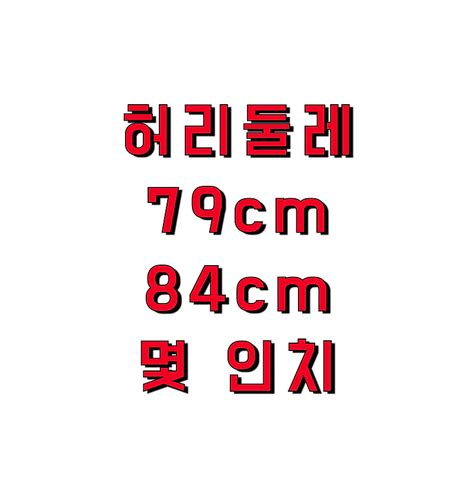 허리둘레 79cm와 84cm는 몇 인치 일까요