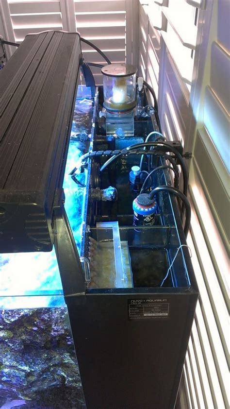 My All In One Filter With My Protine Skimmer And Ato Tank Shots