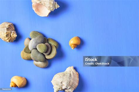 파란색 긁힌 콘크리트에 흩어져있는 조개 근처 자갈 돌 더미 텍스트를 위한 공간 개체 그룹에 대한 스톡 사진 및 기타 이미지 개체 그룹 거친 건설 산업 Istock