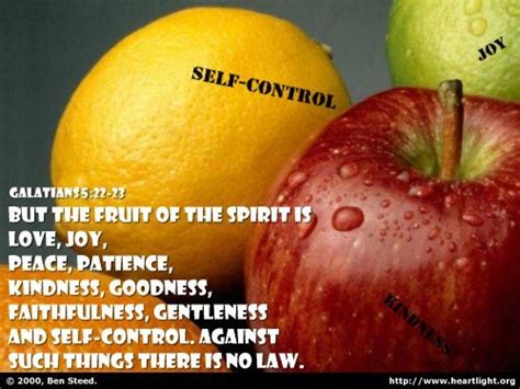 Galatians 522 23 Illustrated Have You Had Your Daily Serving