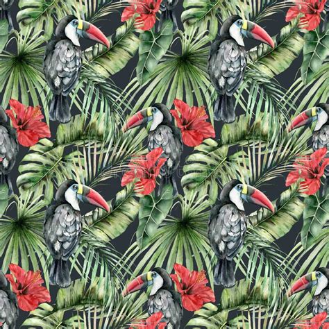 Watercolor Seamless Pattern With Toucans And Tropical Hibiscus Hand