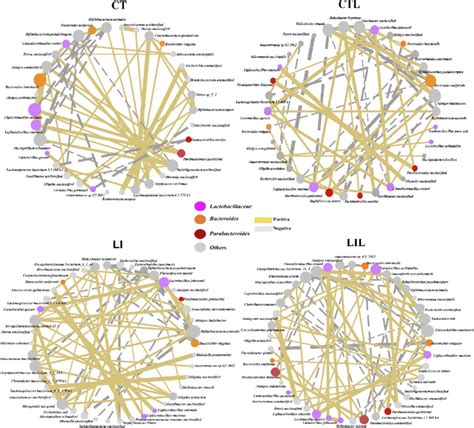 Spearmans Correlation Network Analyses Showing Species Level