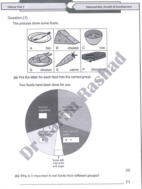 Digestive System And Diet Homework 108 125 Pdf