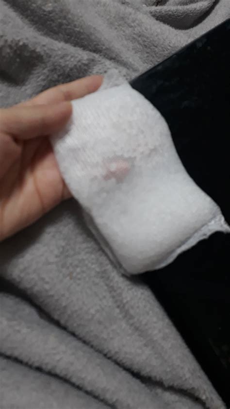 인형 몸안에있는 콩주머니 장확한 명칭 지식in