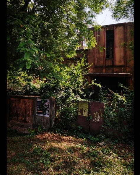 Intj Leadership Style Mastermind Strategies For Success Boo