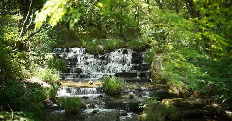 강 개울 거친 경치 계곡 고요한 고요함 그림자 나무 나뭇잎 냉각 녹색 녹지 농촌의 덤불 무성한 봄 삼림지대 생명 숲 시골 식물의