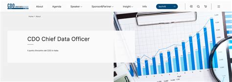 Cdo Chief Data Officer Octo Telematics