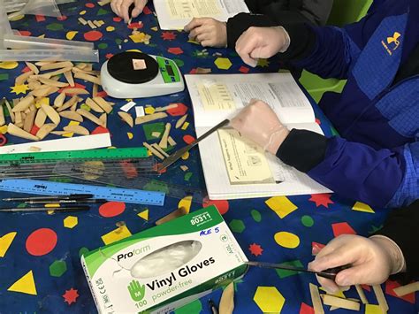 Class 10a Sandfield Park Class 10a Sandfield Park