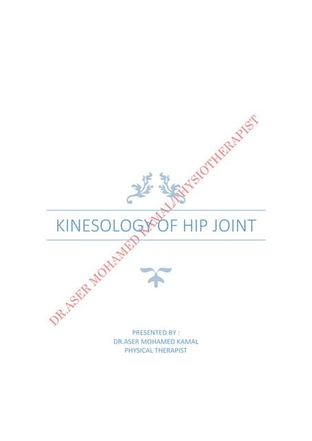 Anatomy Of The Hip Joint Ppt