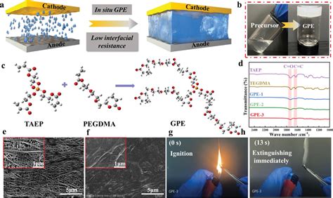 Preparation And Characterization Of GPE A Schematic Illustration Of Download Scientific