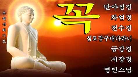 【소원성취기도】금전운 과 소원을 들어주는 불경 🙏 반야심경화엄경천수경심묘장구대다라니금강경지장경영인스님 Youtube