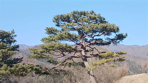 초보골퍼 주말골퍼 실전라운드 크리스탈밸리 초보골퍼 여성골퍼 주말골퍼 Youtube