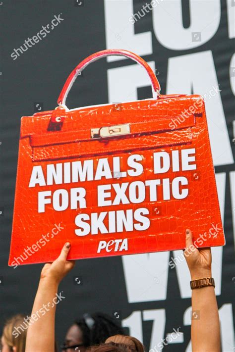 Three Nearly Naked Female Demonstrators Dressed Editorial Stock Photo Stock Image Shutterstock