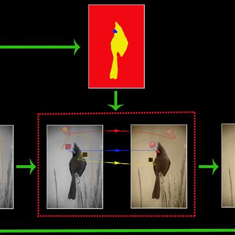 Pipeline Of Our Colorization Framework Download Scientific Diagram