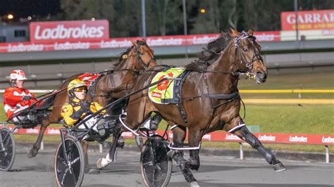 Jason Grimson Targets 2024 Victoria Cup With Swayzee Major Moth News
