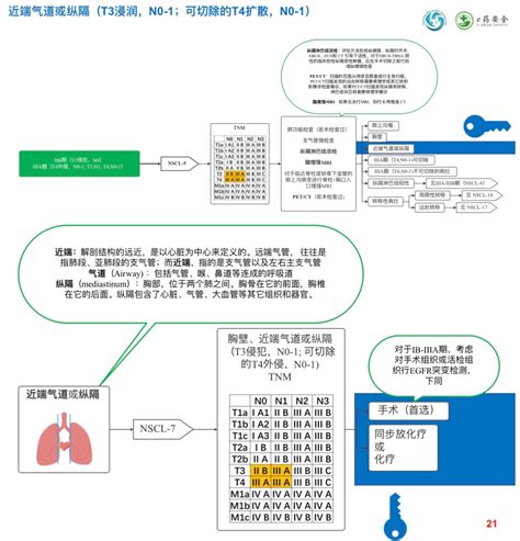 Nccn丨非小细胞肺癌指南思维导图① 2021 6版 肺癌 创新 诊治 细胞 指南 健康界