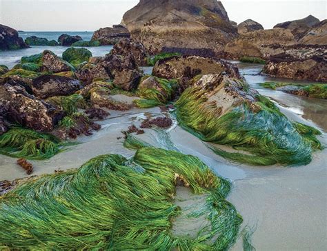 In Other Journals Science