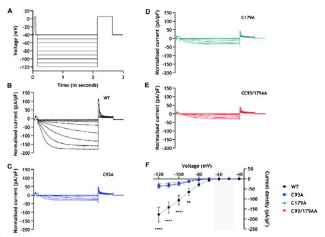 Palmitoylation And Hcn4 Currents Current Voltage Relationships A Download Scientific