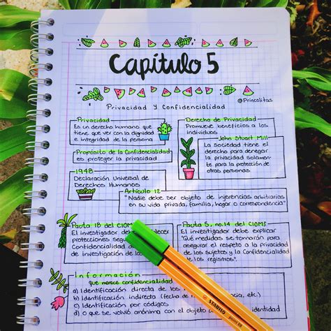 Ejemplos De Resumen