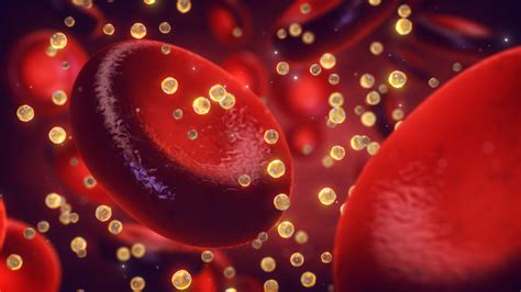 High Hdl C Levels And Cardiovascular Risks What You Need To Know