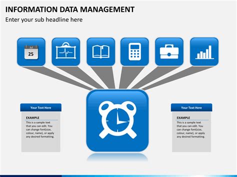 Information Data Management PowerPoint And Google Slides Template PPT Slides