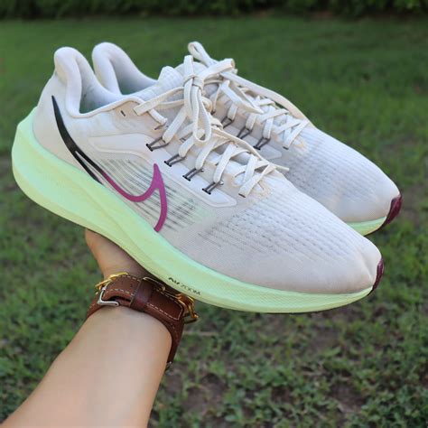 Pegasus 39