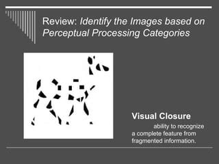 Visual Perception Lecture PPT