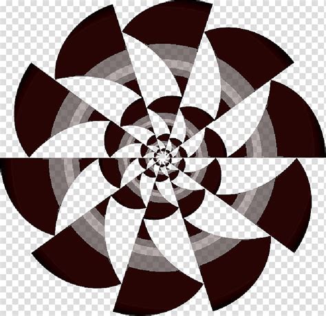Rotational Symmetry Flower