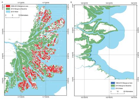 Mangrove Forest Map