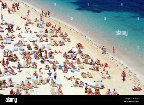 People At The Beach Tanning