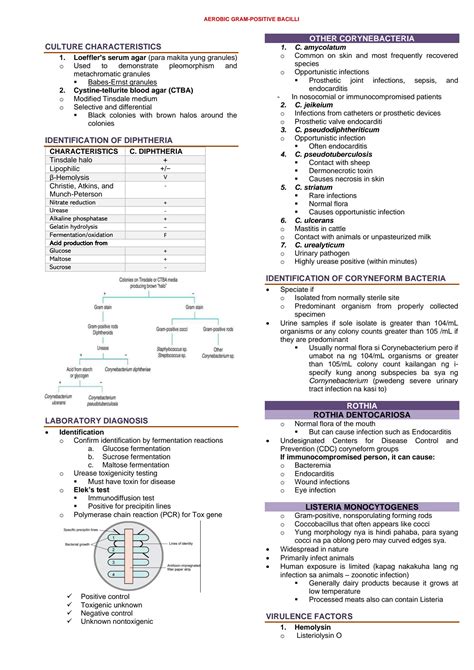 Solution Microbiology Aerobic Gram Positive Bacilli Reviewer Studypool