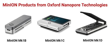Oxford Nanopore Sequencing Principle Protocol Uses Diagram