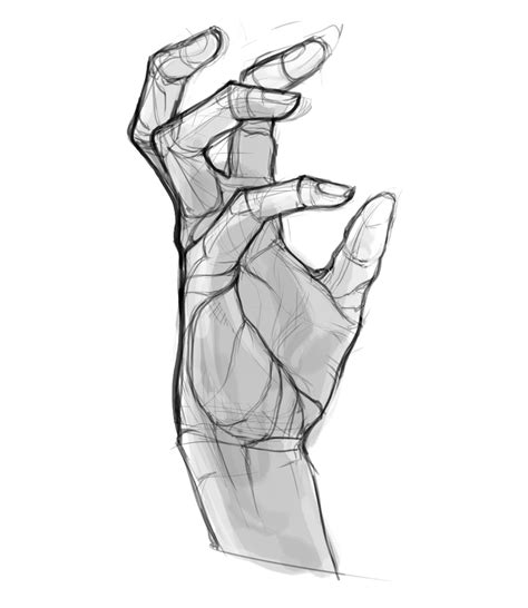 Artstation Hand Anatomy Jazcat Hand Drawing Reference How To Draw
