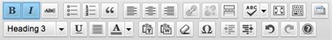 A Comprehensive Guide To Formatting Your Wordpress Posts And Pages