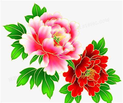 金边牡丹花图片免费下载 PNG素材 编号zq9i3o3ov 图精灵