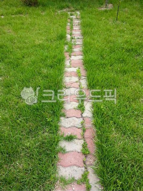 여름 잔디 초록 잔디밭 돌길 사진이미지일러스트캘리그라피 헬로짱작가