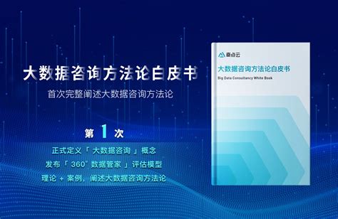 大数据咨询方法论白皮书