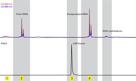 Lnp Purification And Analytics Integrated Bioprocess Solutions