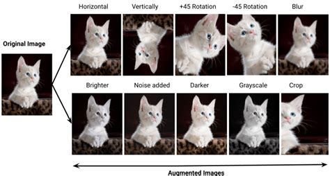 What Is Contrastive Learning A Guide