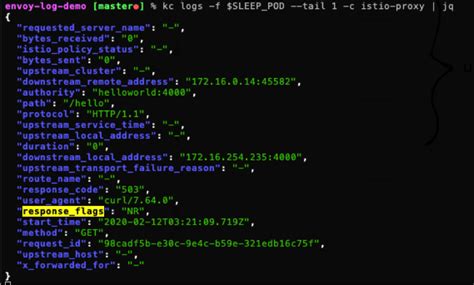 Envoy 日志分析 Istio 运维实战