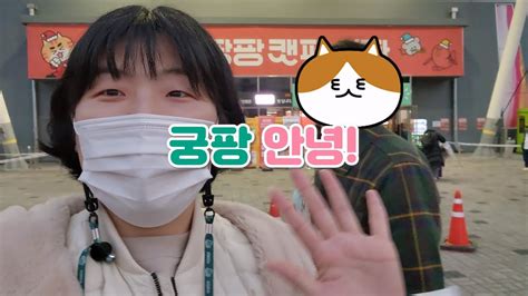 [집사모드] 궁팡 다녀왔어요 23회 궁디팡팡 캣페스타 2일차 궁팡 쇼핑 후기 서울 Setec 2022 12 03 Youtube