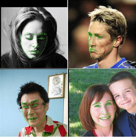 Examples Of Jd Landmark Dataset Download Scientific Diagram