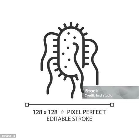 2d 사용자 정의 가능한 얇은 선 블랙 살모넬라 장티피 아이콘 장티푸스에 대한 스톡 벡터 아트 및 기타 이미지 장티푸스 아이콘 바이러스 Istock