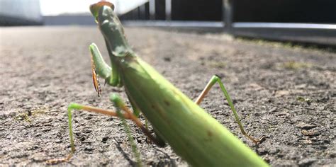 Windows Authentication Credential Providers Part 2 Sequence Of